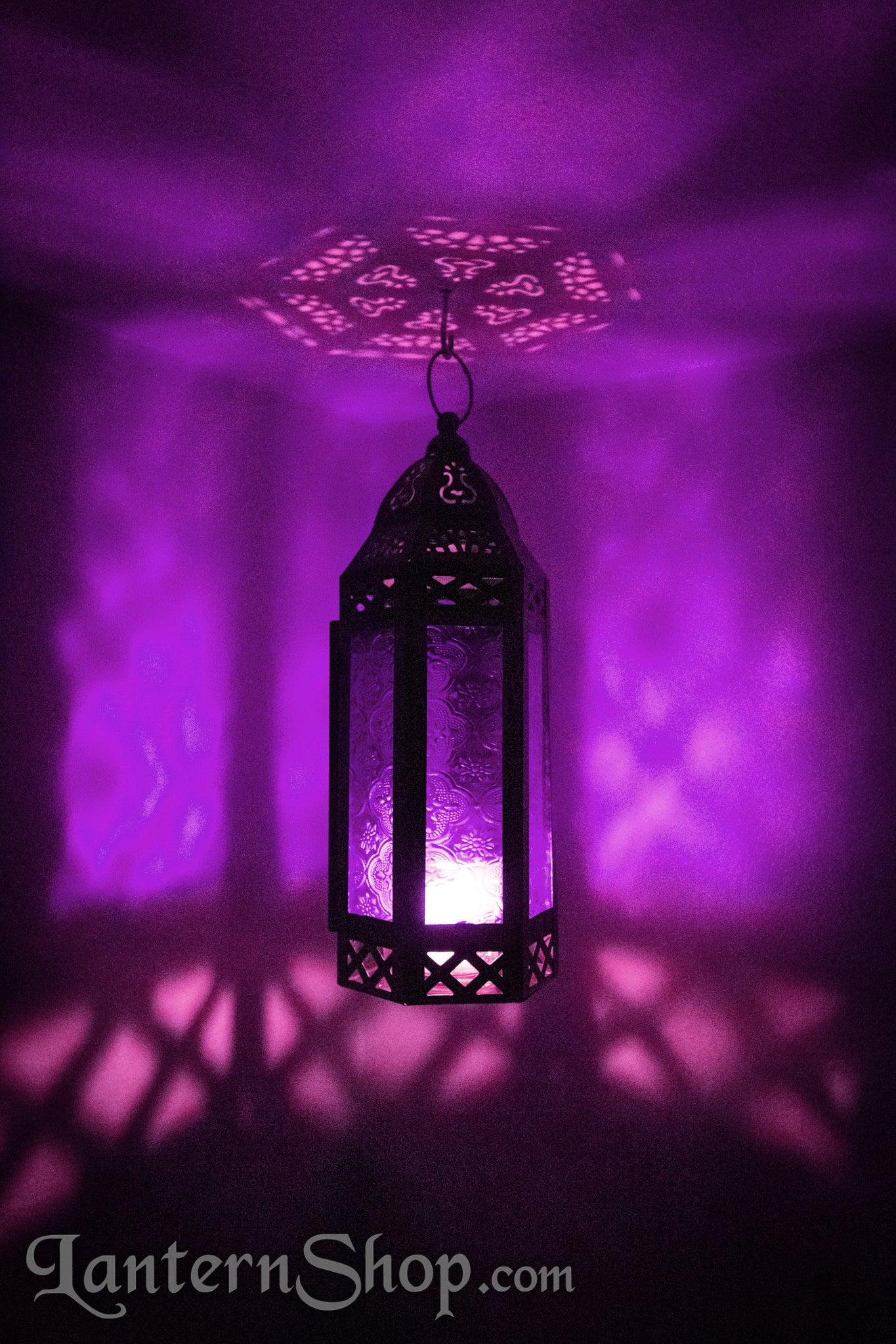 Violet Lantern Wallpaper